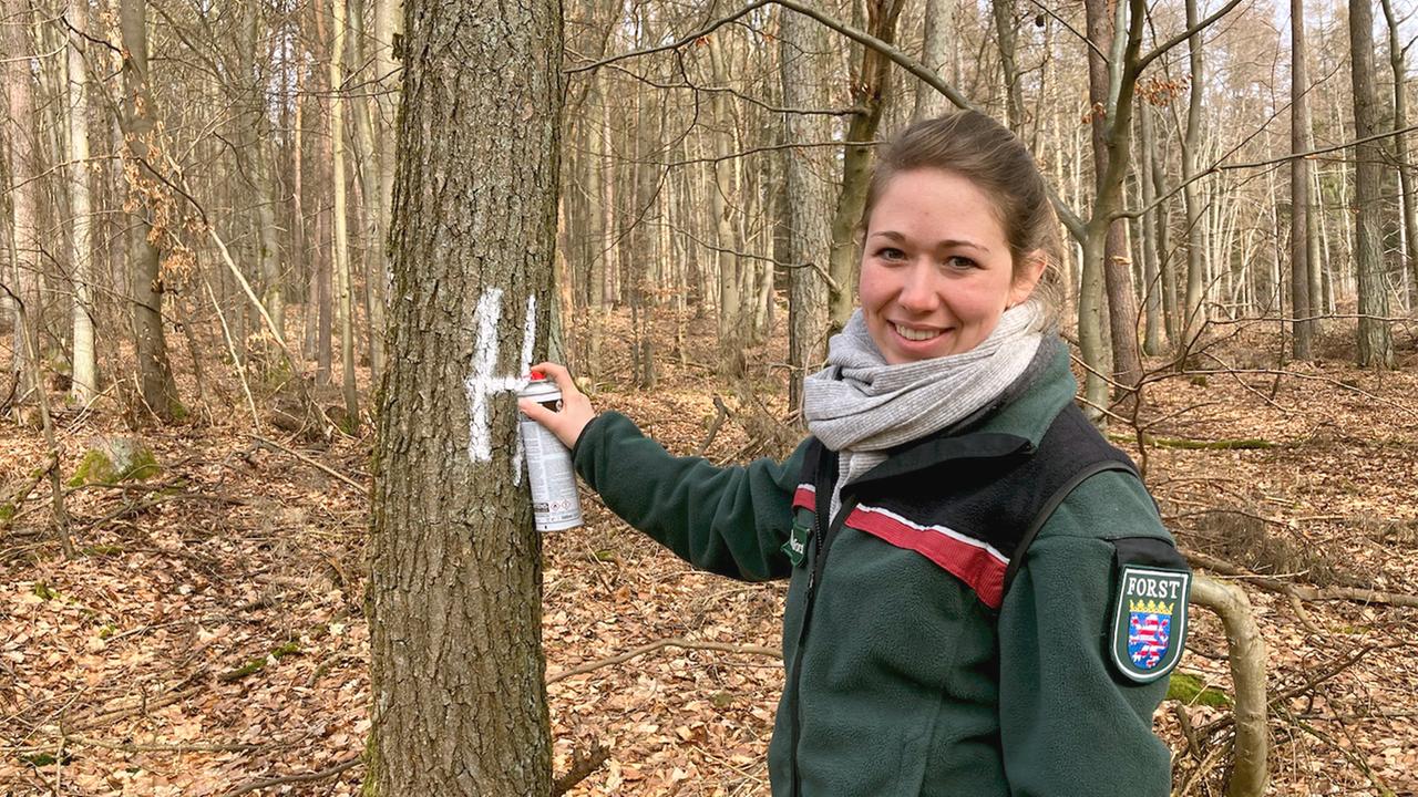 Försterinnen sind in der Minderheit - doch das Interesse wächst ...