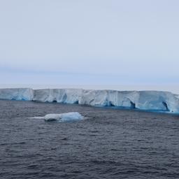 Südatlantik: Früher größter Eisberg der Welt verschwindet langsam ...