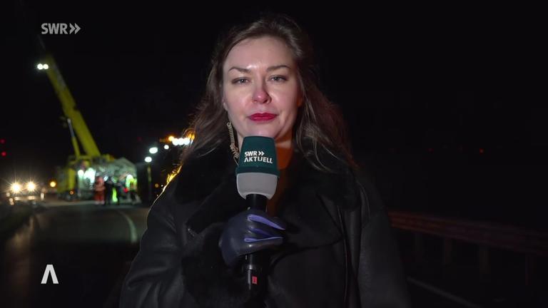 Bokep indonesia hamster