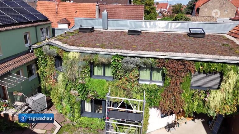 Vereinte Nationen rufen internationalen Tag der sauberen Luft aus ...