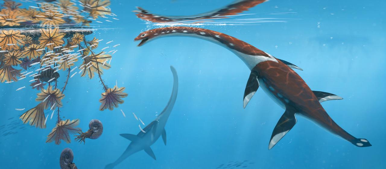 Neuer Meeressaurier in Fossil aus Baden-Württemberg entdeckt ...