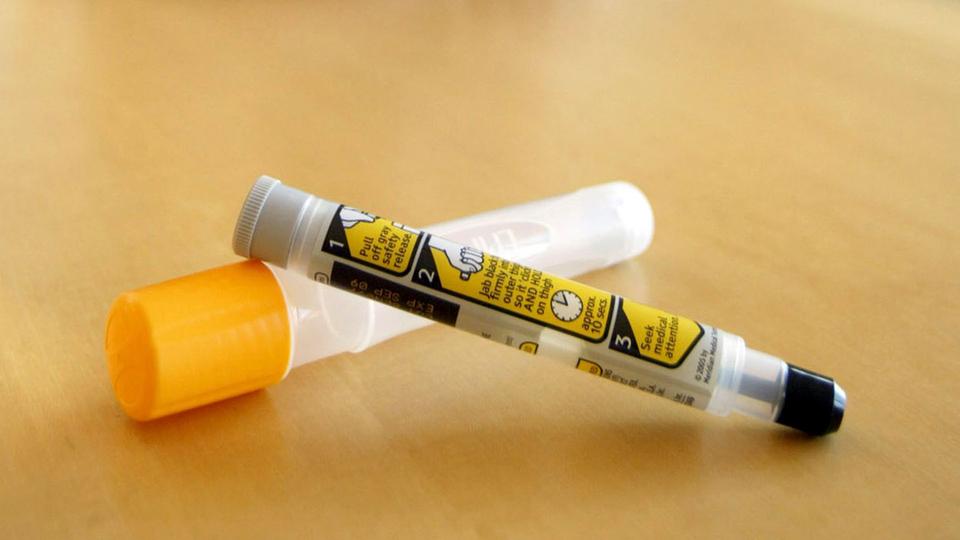 Bloß keine Panik: Wissenswertes über Wespen | tagesschau.de