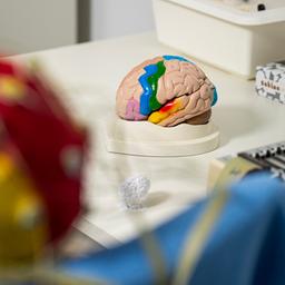 Gesund altern - aber wie? | tagesschau.de