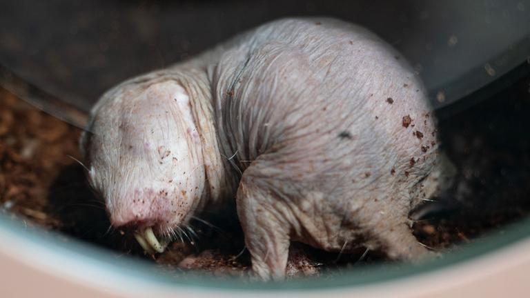 tagesschau.de - Die Nachrichten der ARD | tagesschau.de