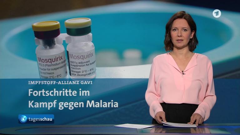 Impfstoff-Allianz Gavi meldet Erfolge im Kampf gegen Malaria ...