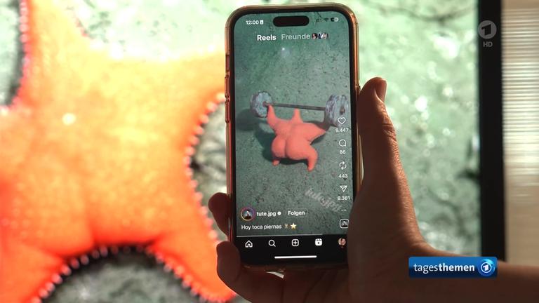 Livestream - aktuelle Nachrichten | tagesschau.de