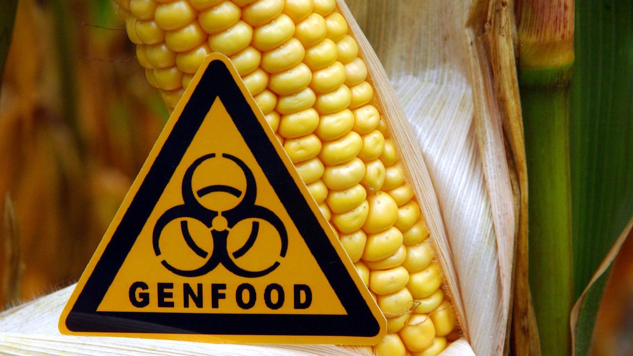 Nordrhein-Westfalen: Gentechnik-Lebensmittel ohne Kennzeichnung: Das ...
