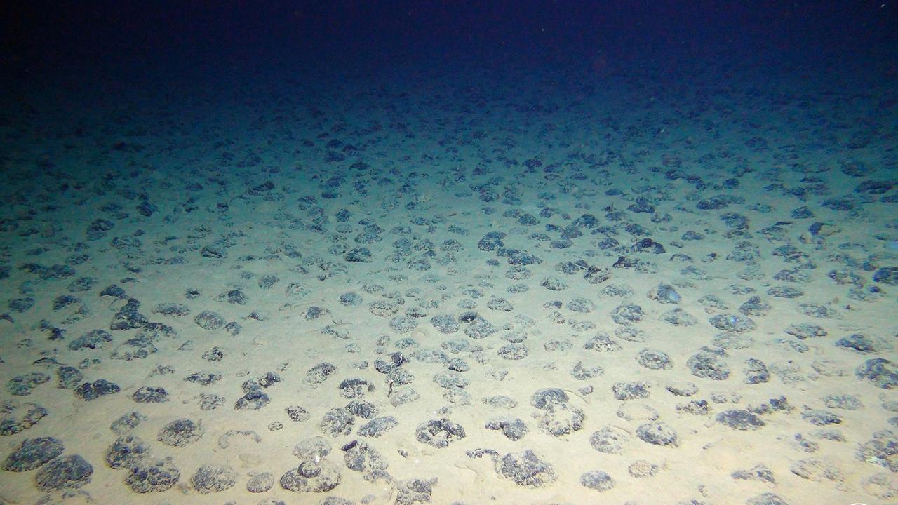 Manganknollen: Sauerstoff aus der Tiefsee | tagesschau.de