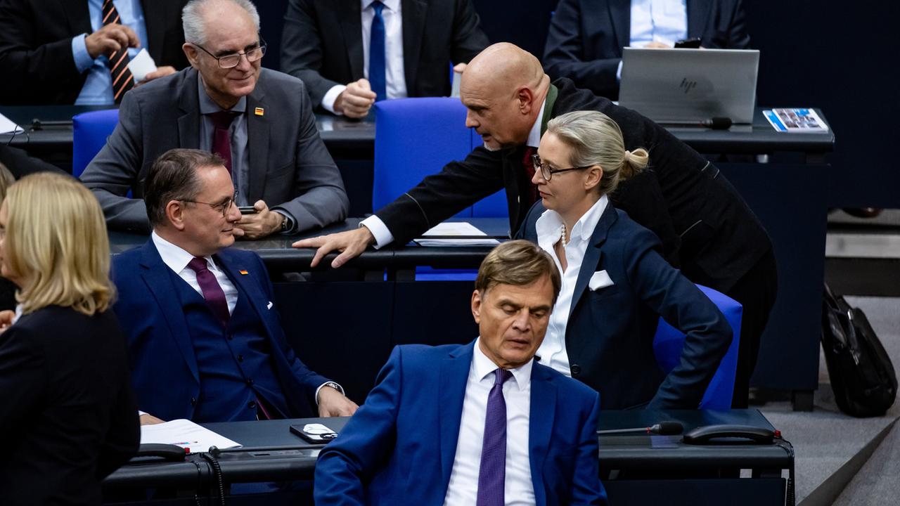 AfD im Bundestag: Taktik rund um die Vertrauensfrage | tagesschau.de