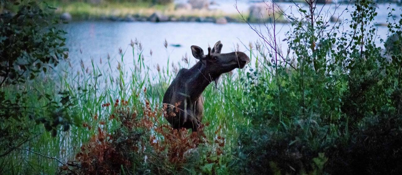 Biodiversität: Warum von biologischer Vielfalt alle profitieren ...