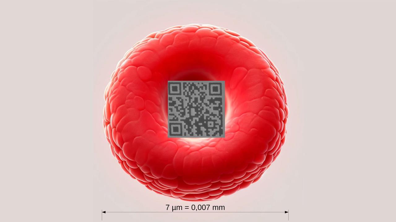 Guinness-Weltrekord: Physiker aus Münster stellen kleinsten QR-Code her ...