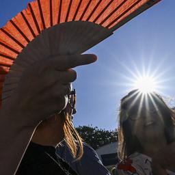 Puppii onlyfans leak she is absolutely breathtaking, fun