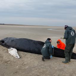 Regionalnachrichten aus Niedersachsen | tagesschau.de