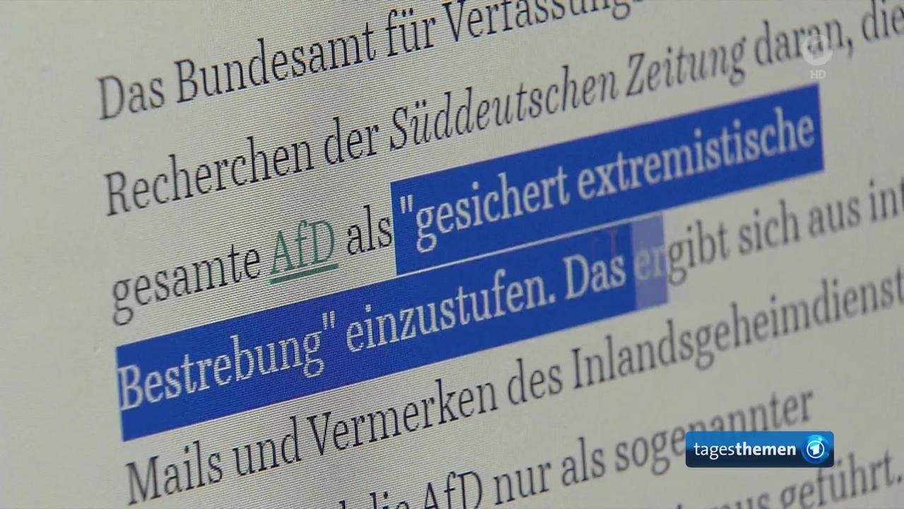 Neues Gutachten vom Verfassungsschutz: Mögliche Folgen einer Einstufung der AfD als "gesichert ...