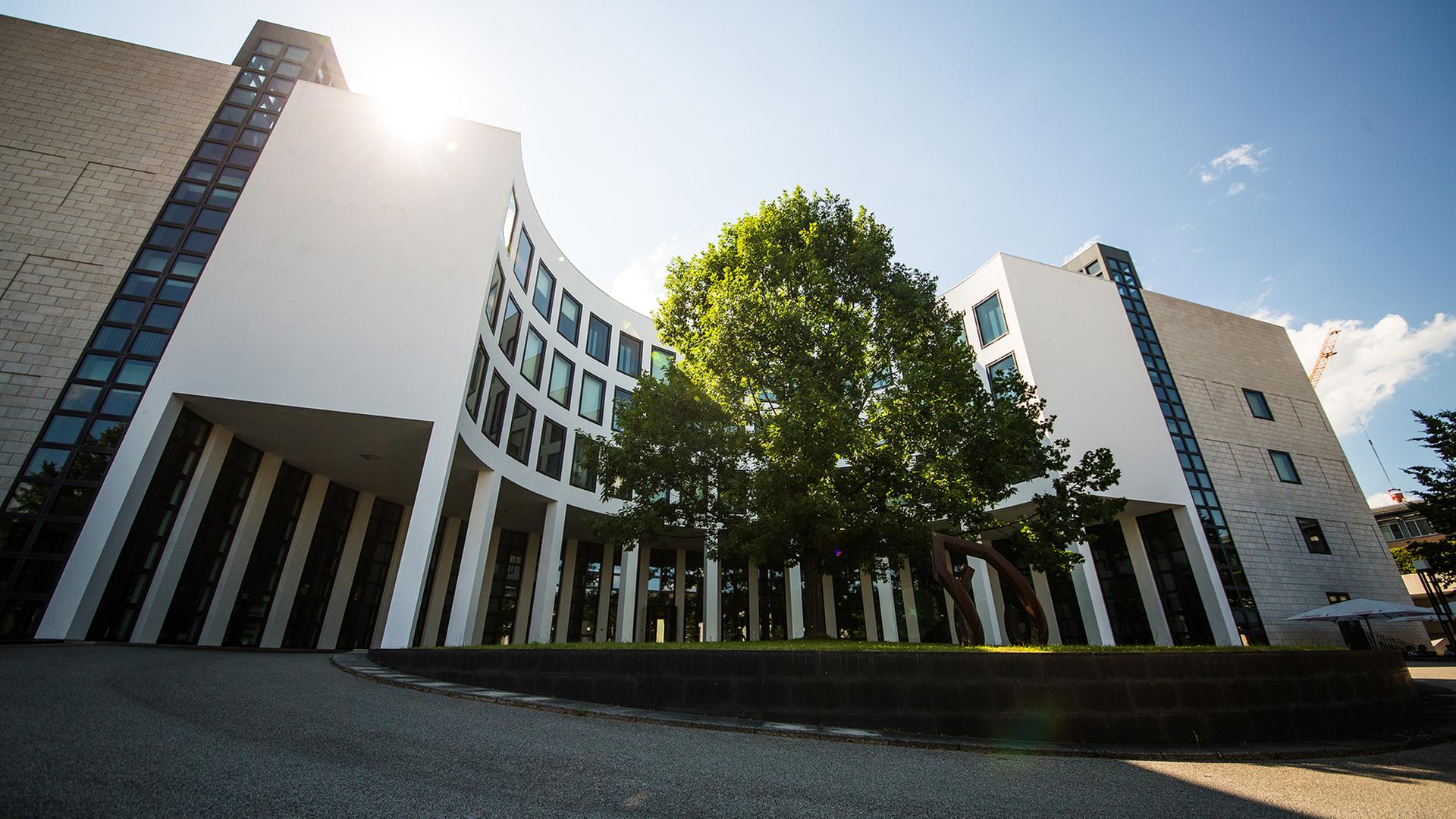 Nachrichten aus Berlin und Brandenburg | rbb24