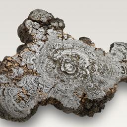 Manganknollen: Sauerstoff aus der Tiefsee | tagesschau.de