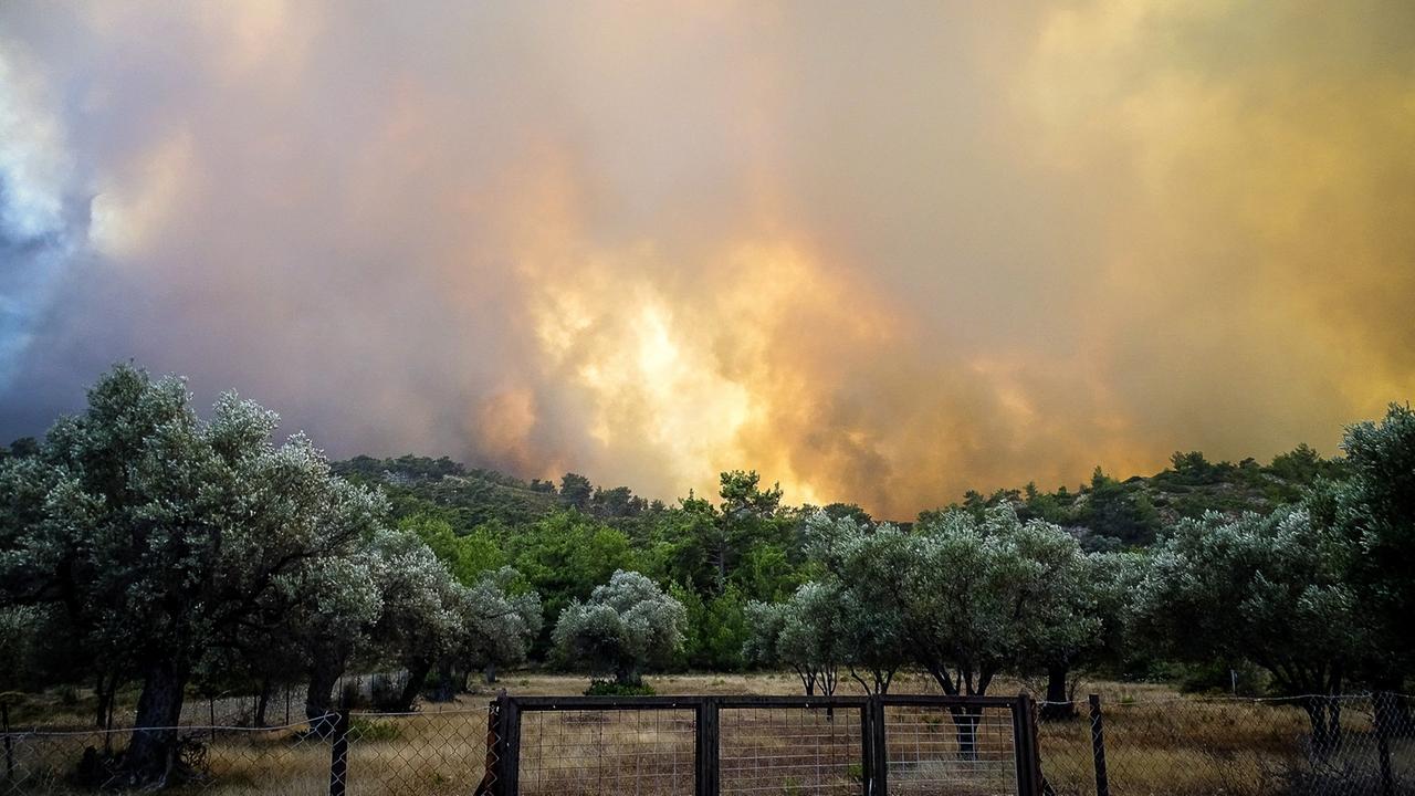 Tausende Menschen wegen Waldbrand auf Rhodos evakuiert | tagesschau.de