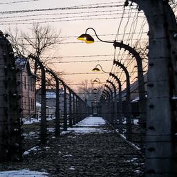 Warum Menschen das Verhalten ihrer Vorfahren zur NS-Zeit verklären ...