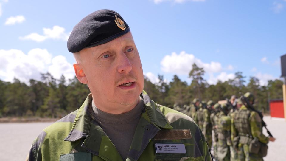 Beitritt zu Militärbündnis: Wie die NATO von Schweden profitiert ...