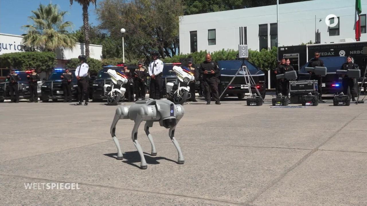 Mexiko: Wie sicher ist die Fußball-WM | tagesschau.de