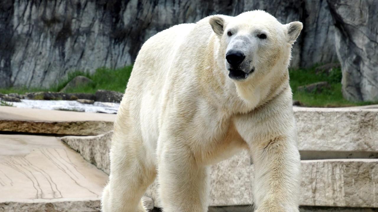 Streaming video bokep indonesia she wasn’t she was