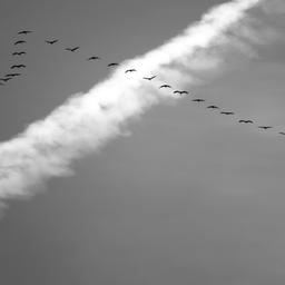 Wetterthema: | tagesschau.de