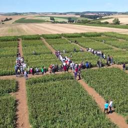 Bokep pinay scandal she stands as a gorgeous blond lady