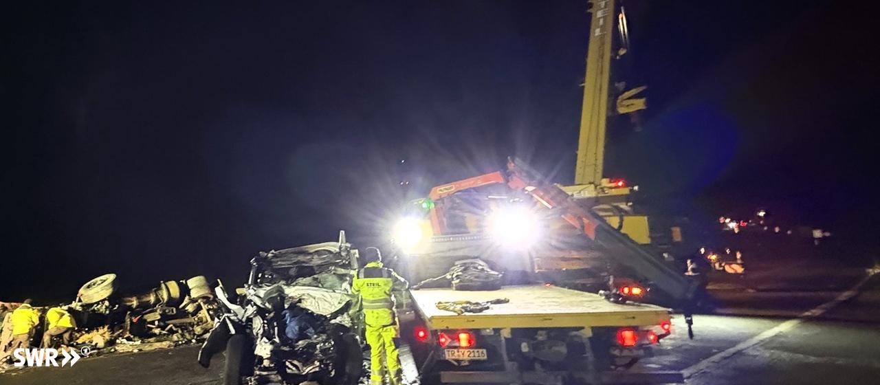 Bokep indonesia hamster