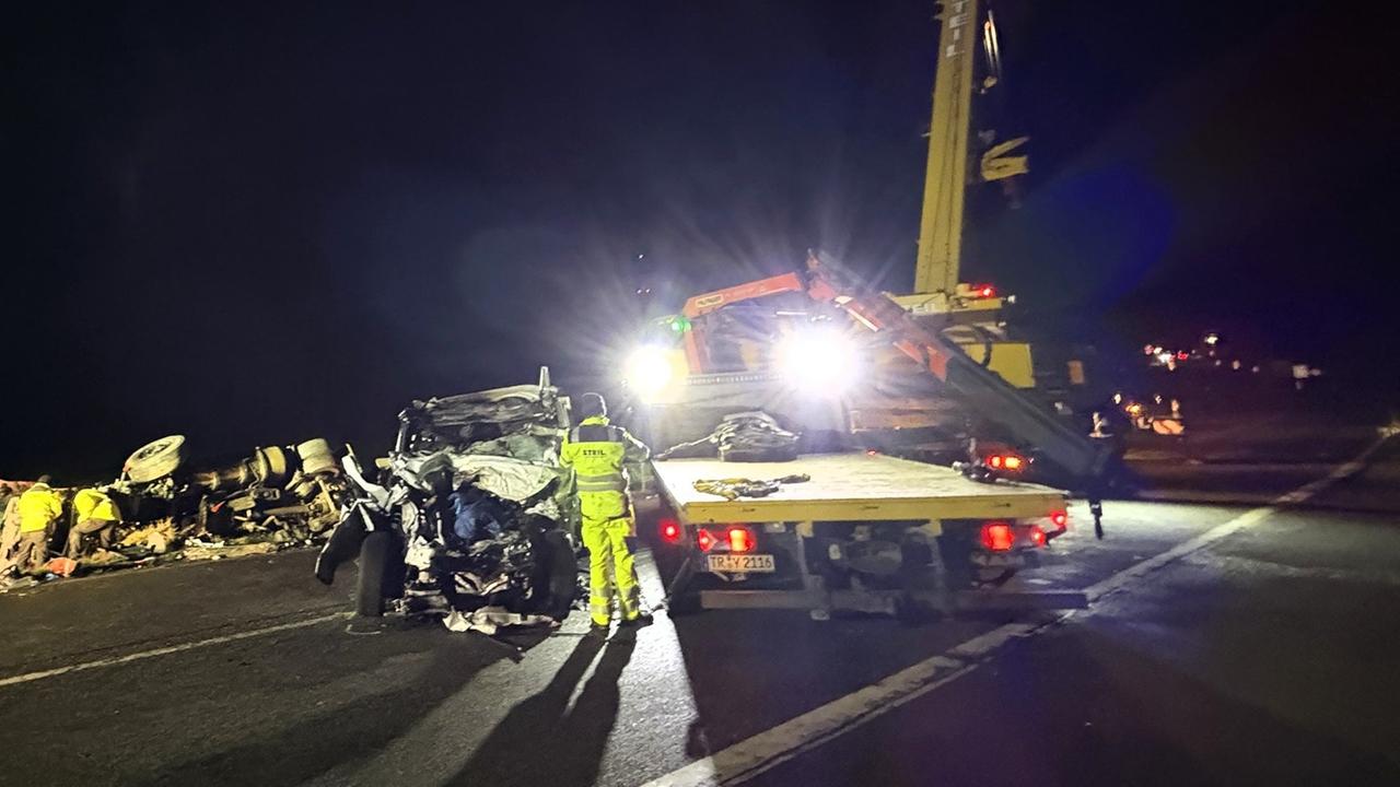 Bokep indonesia hamster