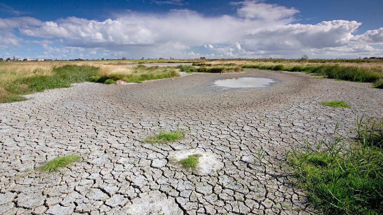 Forscher warnt: Wasserverlust in Seen hat schwere ökologische Folgen ...