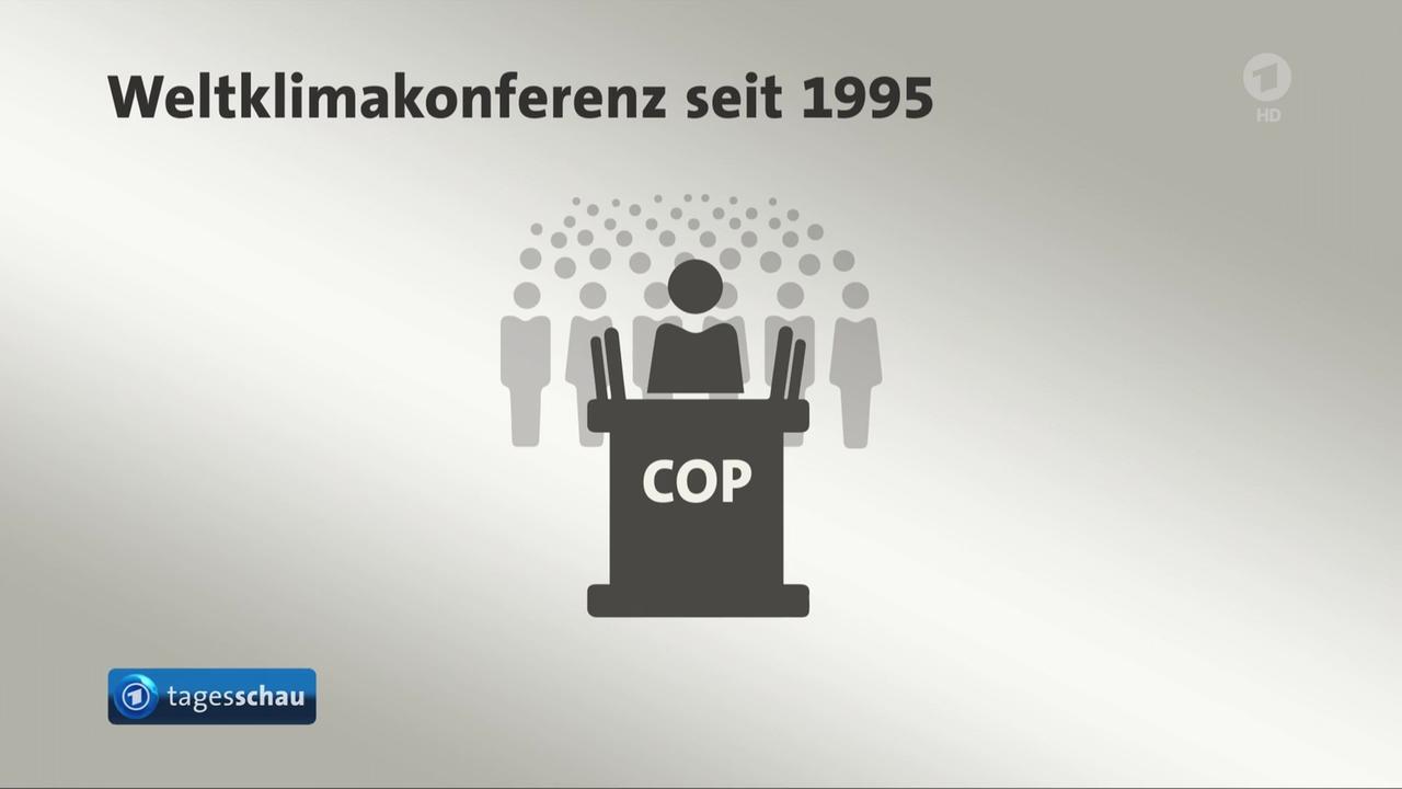 Die COP ist seit 1995 Instrument der internationalen Klimapolitik ...
