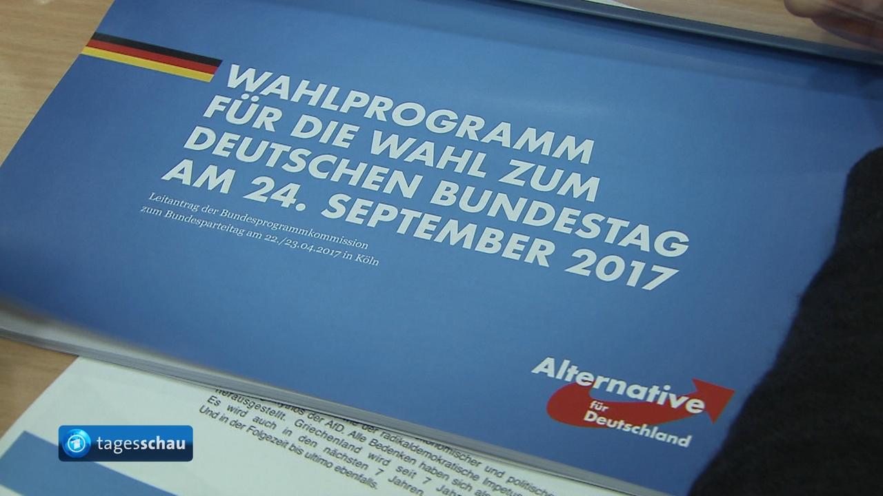 Präsentation in Berlin: AfD stellt Entwurf für Bundestagswahlprogramm ...