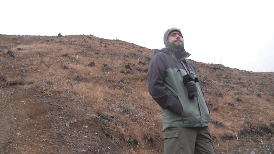 Wie Rumäniens Urwälder illegaler Rodung zum Opfer fallen | tagesschau.de