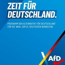 Bundestagswahl 2025: Rente und Bürgergeld - wie stehen die Parteien ...