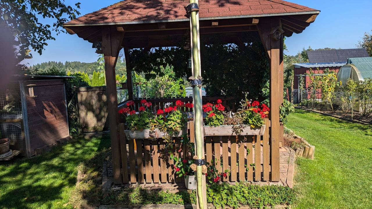 Bilderstrecke: Gemüsezüchter aus Knopp-Labach: "Gute Kerne, guter Boden ...