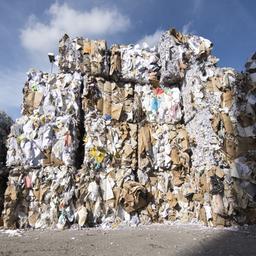 Statt Plastikmüll: Essbare Verpackung aus Eierschalen | tagesschau.de