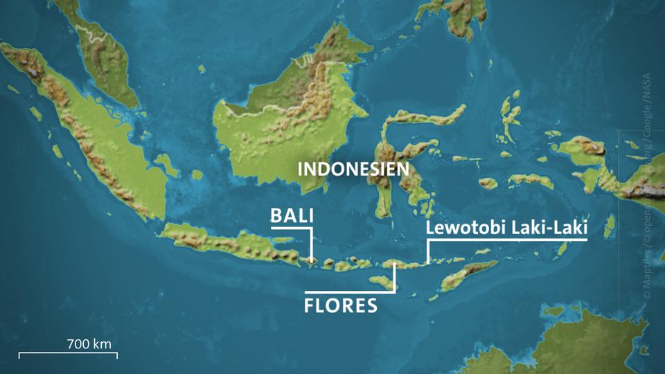 Indonesien: Vulkan Lewotobi Laki-Laki erneut ausgebrochen | tagesschau.de