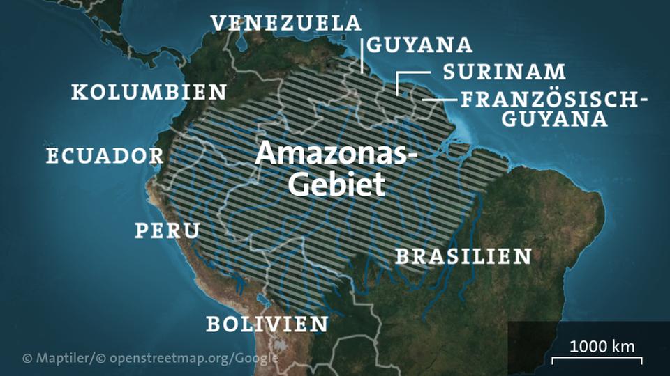Deutschland zahlt wieder für Schutz des Amazonas | tagesschau.de