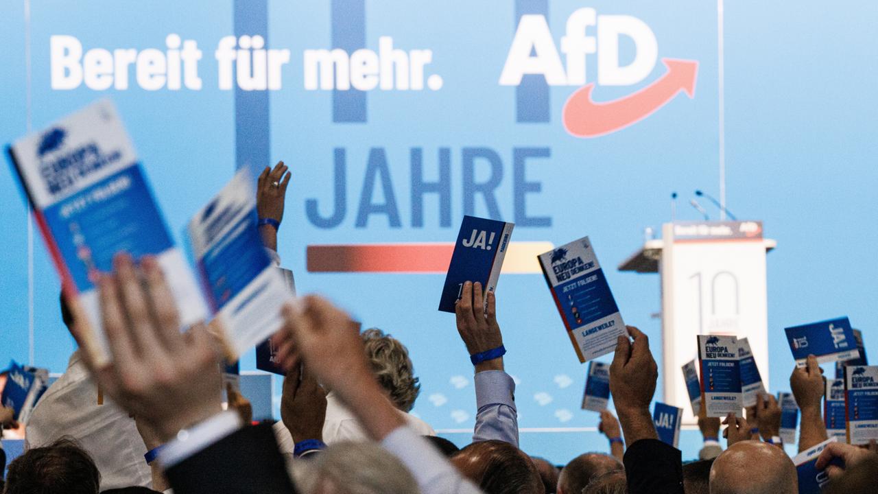 Kommentar: Die AfD hat es zu einfach | tagesschau.de