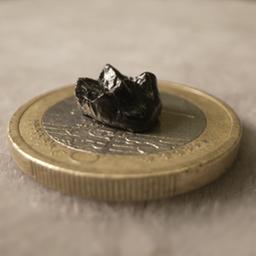 Evolutionsforschung: Komplettes Genom von Menschenaffen entschlüsselt ...