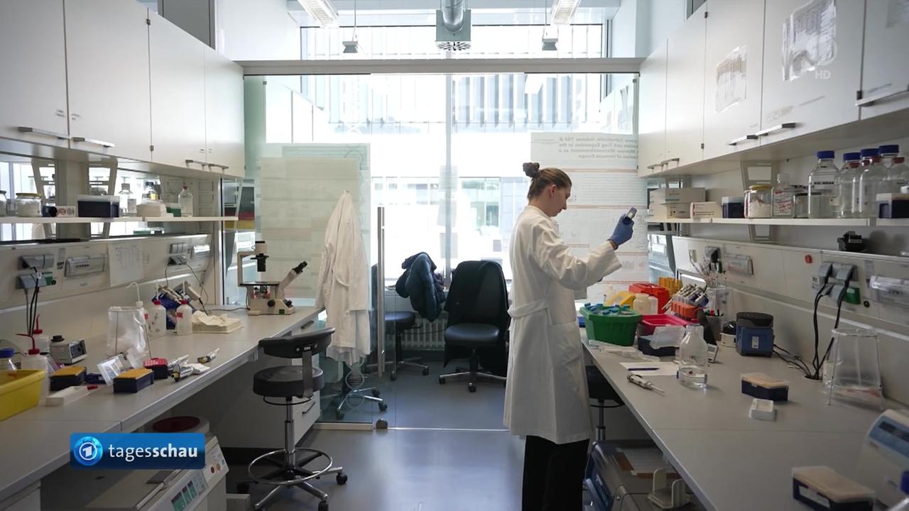 Robert Zeiser erhält Leibniz-Preis für seine Krebsforschung | tagesschau.de