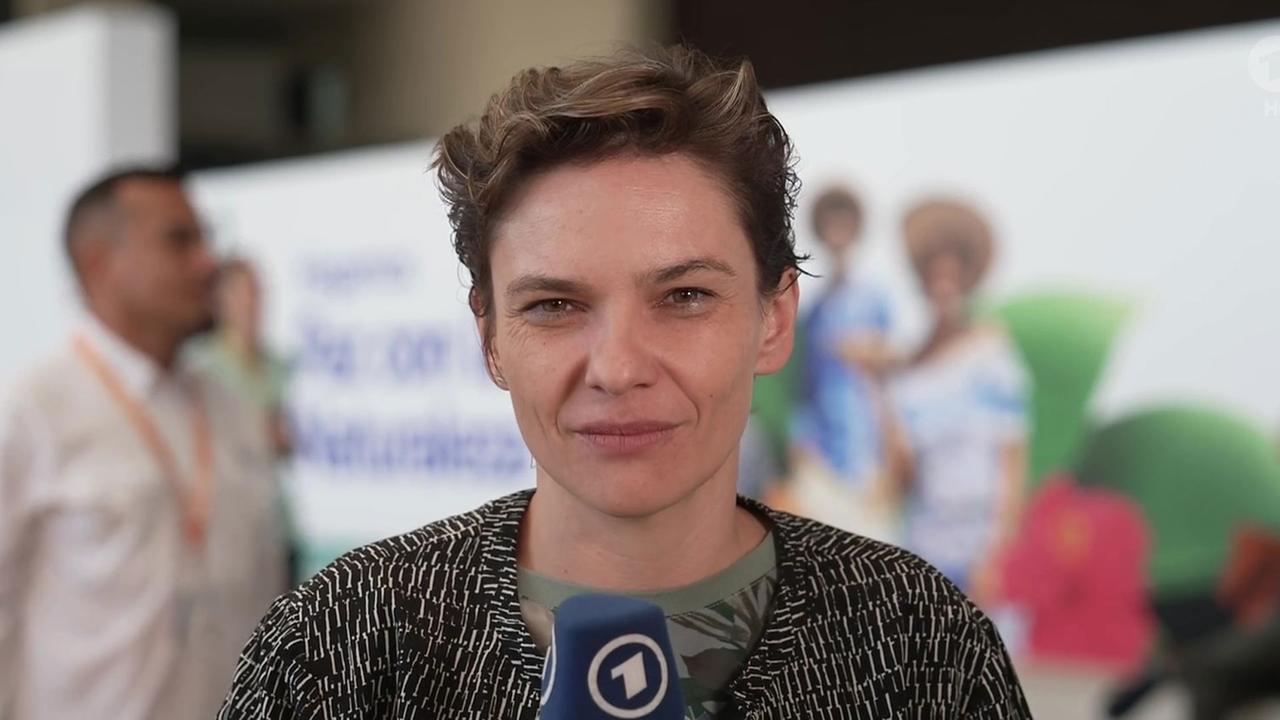 "Es gibt mehrere Knackpunkte", Marie-Kristin Boese, ARD Mexiko-Stadt ...