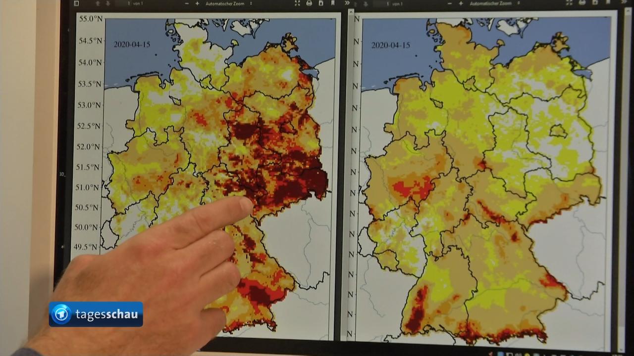 Corona und Klimawandel: Erneuter Dürre-Sommer droht | tagesschau.de