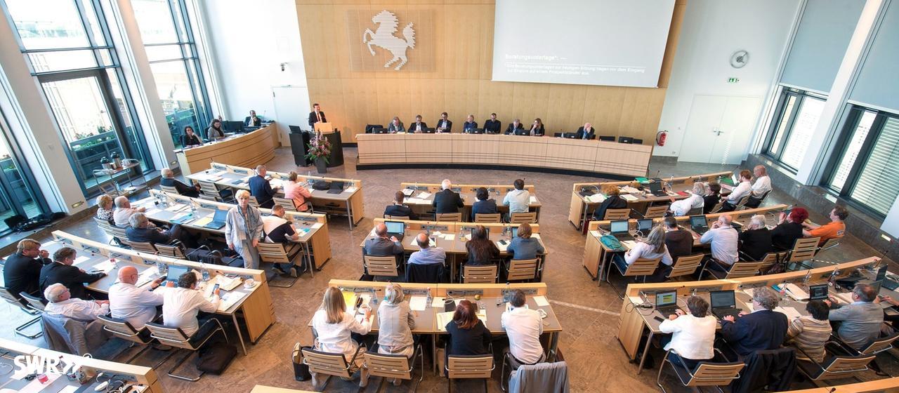 Baden-Württemberg: Nach Hitler-Verherrlichung: AfD verliert ...