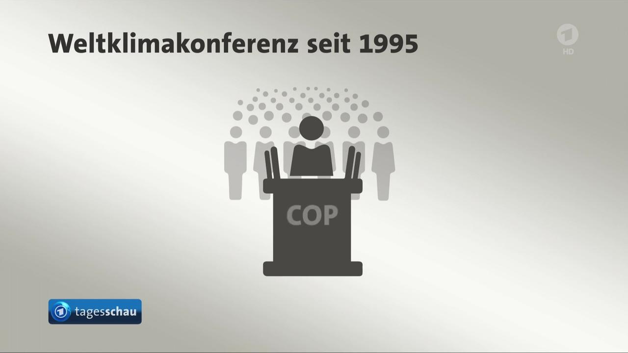 Was ist die COP? Die Klimakonferenz als Instrument der internationalen Klimapolitik | tagesschau.de