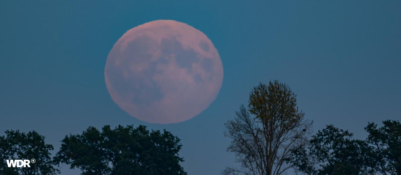 Nordrhein-Westfalen: Supermond am 5. November: Wann und wo er heute bei ...
