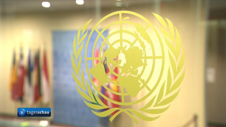 Vereinte Nationen: Gründung der internationalen Organisation vor 75 ...