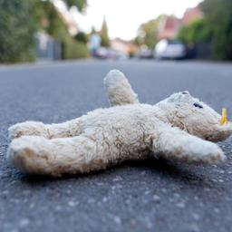 Regionalnachrichten aus Sachsen-Anhalt | tagesschau.de