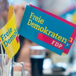 Dreikönigstreffen der FDP: Eine Dosis Tatkraft gegen die Kritik ...